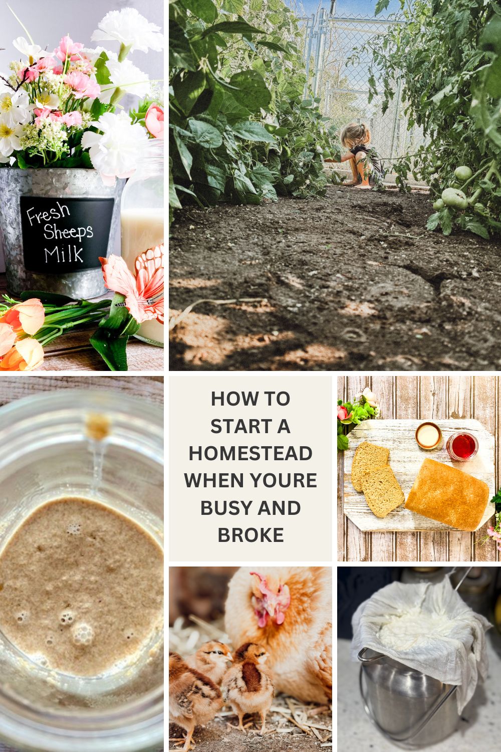 How to Start a Homestead on a Budget (Even if You’re Busy) - Sweet ...