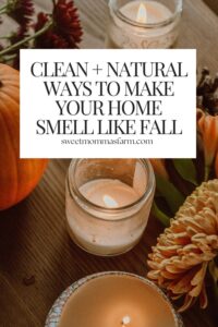 Clean + Natural Fall Home Scents - Sweet Momma's Farm